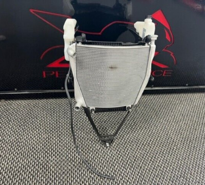 Ducati Panigale V4 V4R OEM Radiator Water Cooler Engine Cooling ...
