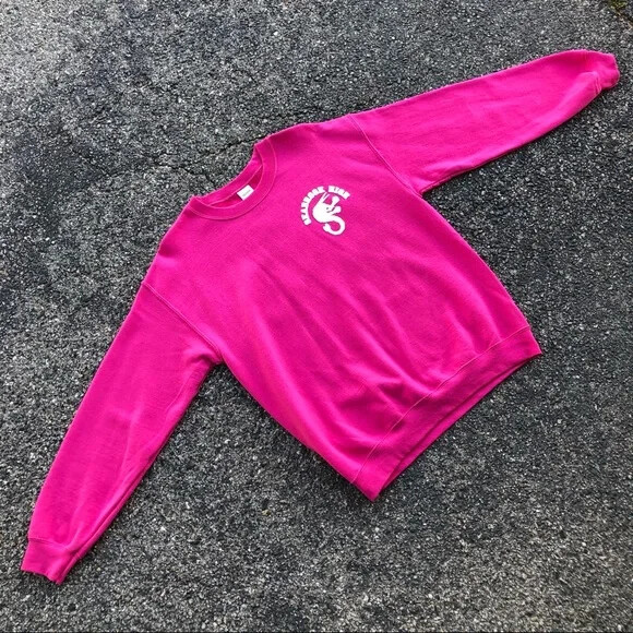 Rare Disney Zombies 2 Seabrook High Pink Sweatshirt -… - Gem
