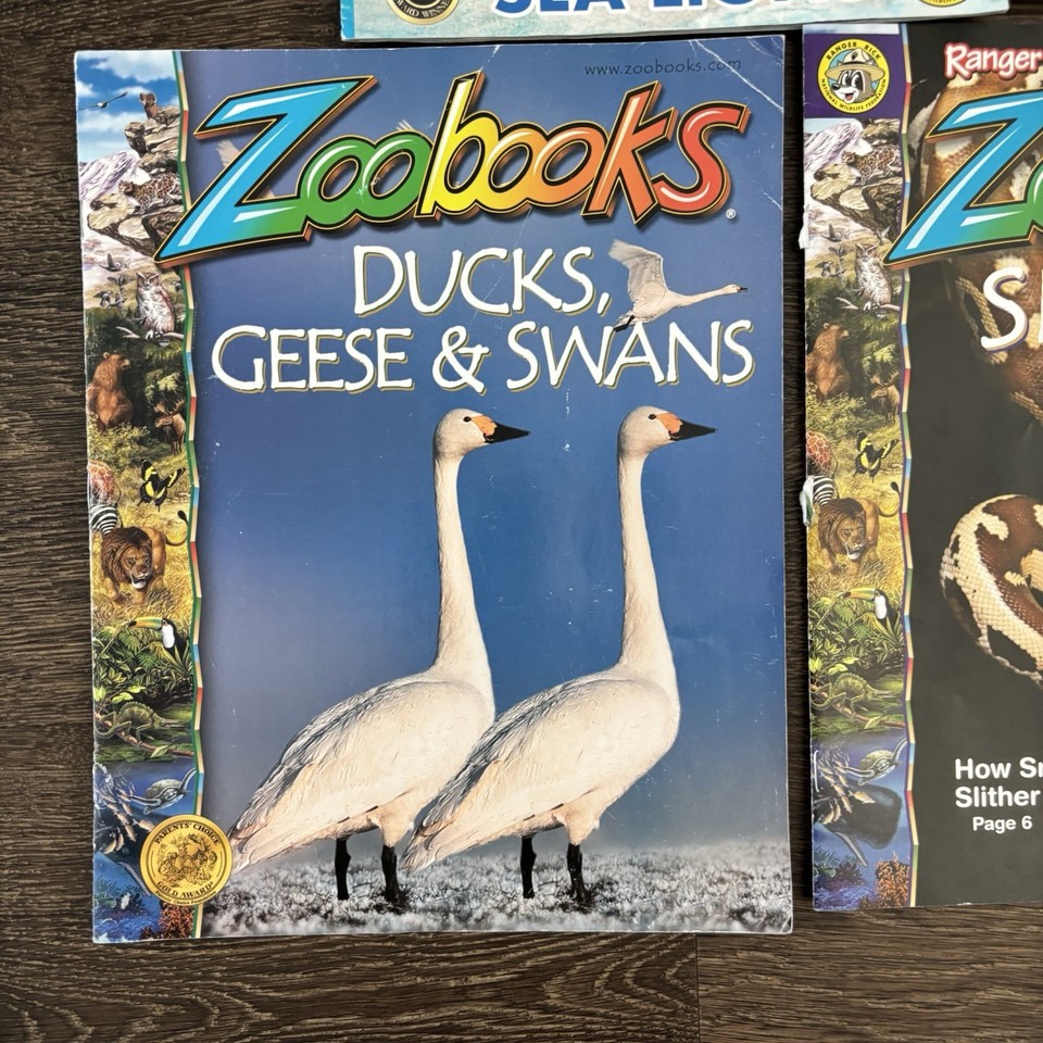 Zoobooks Ranger Rick Magazine Lot of 9 Animals Dinosaurs Snakes ...