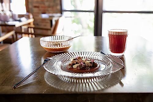 Archie Glass Dinner Plate Set Of 4 10.6 Inch Clear 646292436945| eBay