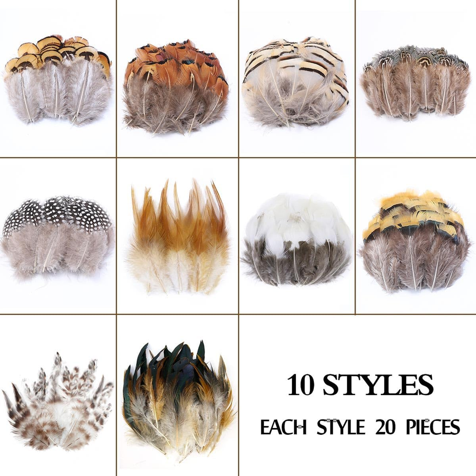 200Pcs 10 Style Natural Feathers Assorted Mixed Feathers for Dream ...
