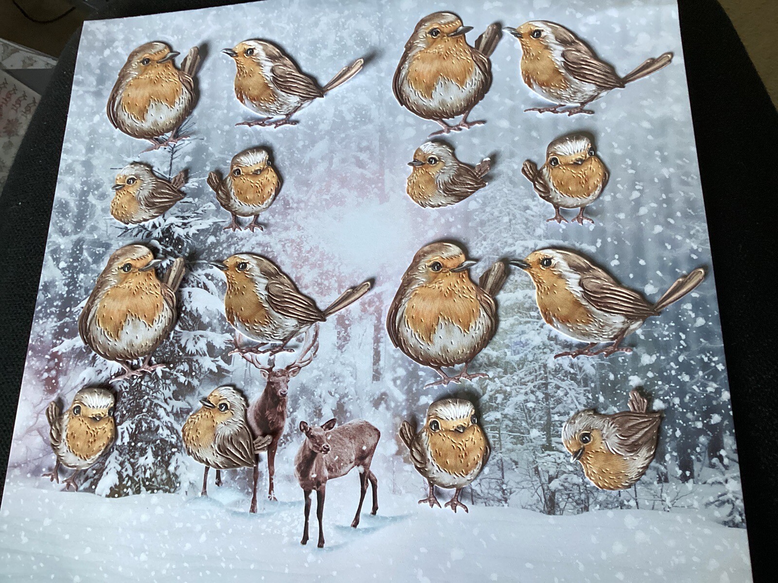 CARNATION CRAFT "THE ROBINS" DIE CUTS | eBay UK