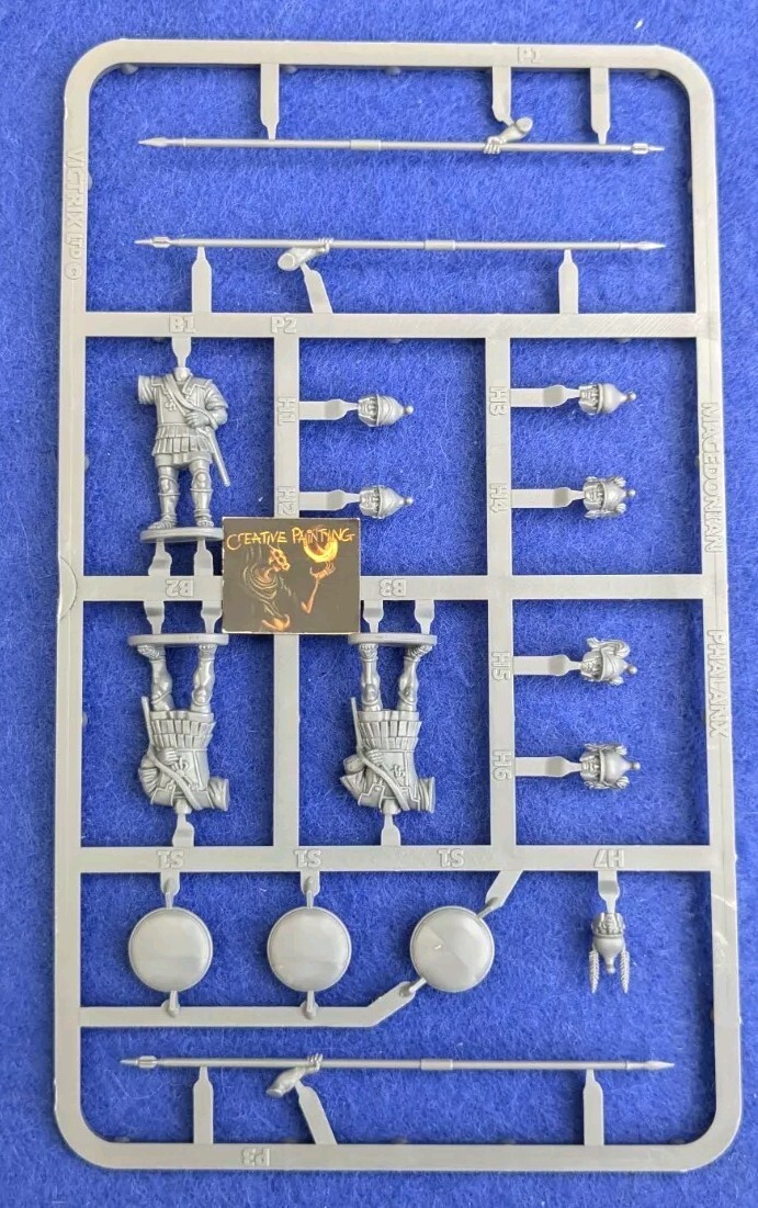 Victrix Macedonian Phalangites Sprue | eBay