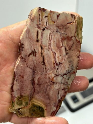 Red Butte Dendritic Jasper slab Cabbing Lapidary Combo ship avail | eBay