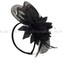 Spring Racing Race Party Melbourne Cup Feather Fascinator Headband ...
