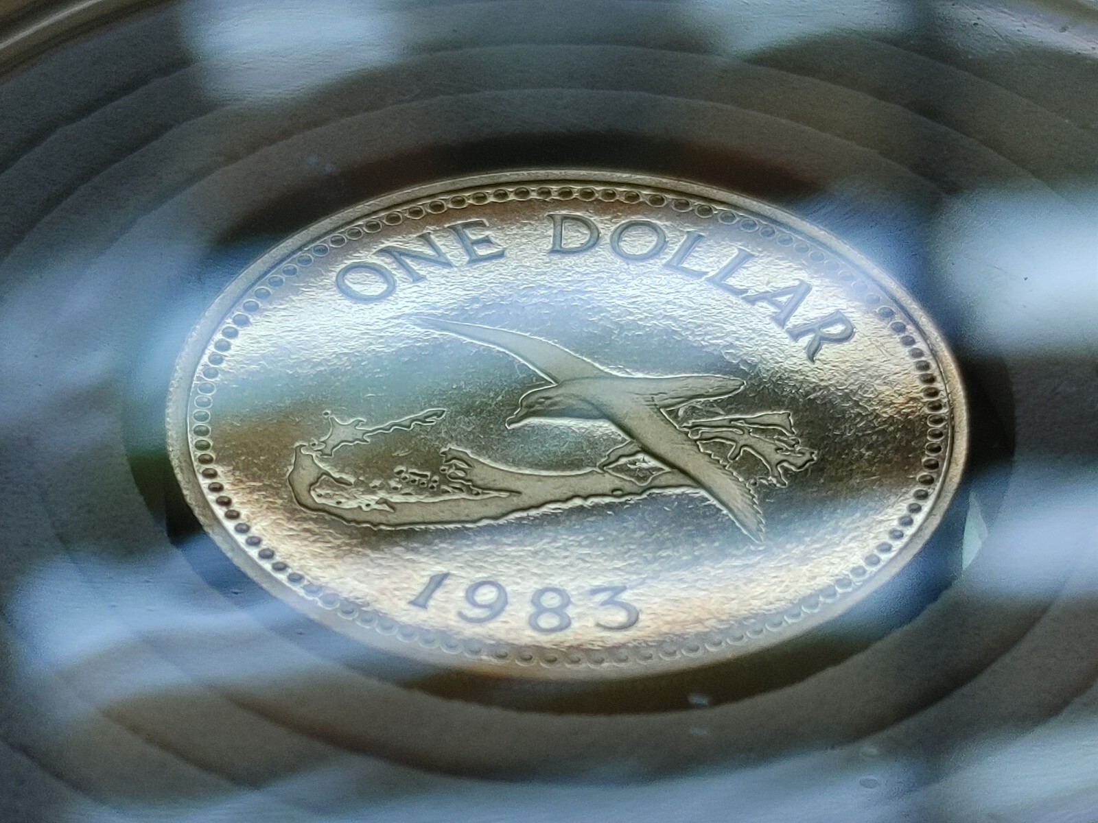 Rare Rainbow Toned edge Cameo 1983 PROOF ONE DOLLAR COIN, brass gem ...