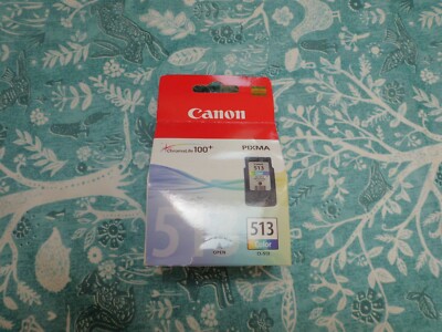 Canon 513 colour printer cartridge (2971B001 AA) | eBay