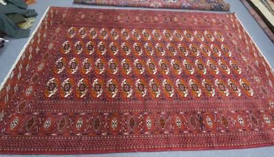 Antique Tekke Gul Turkoman Main Carpet 6'9 x 9'4 Hand Knotted Wool on ...