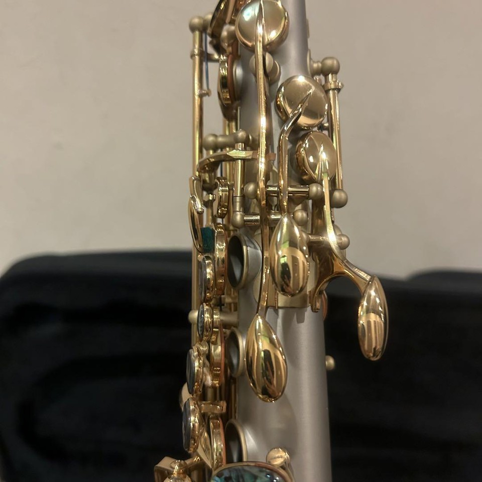 Chateau Custom rolled tone hole alto saxophone | eBay