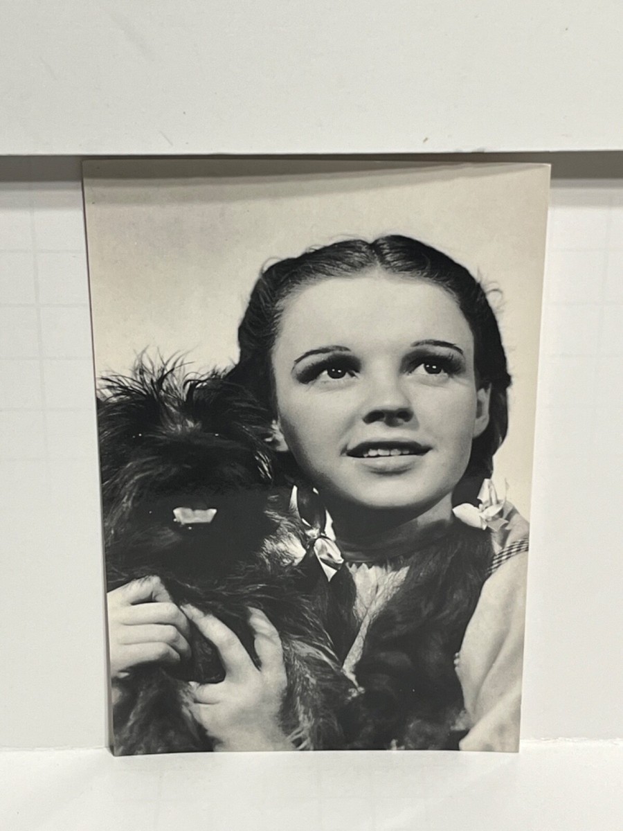 Judy Garland Dorothy En Toto
