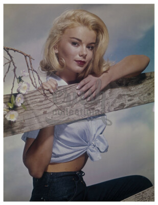 Actress Ahna Capri 8x11 inch Publicity Photo [210901-9] Enter the ...