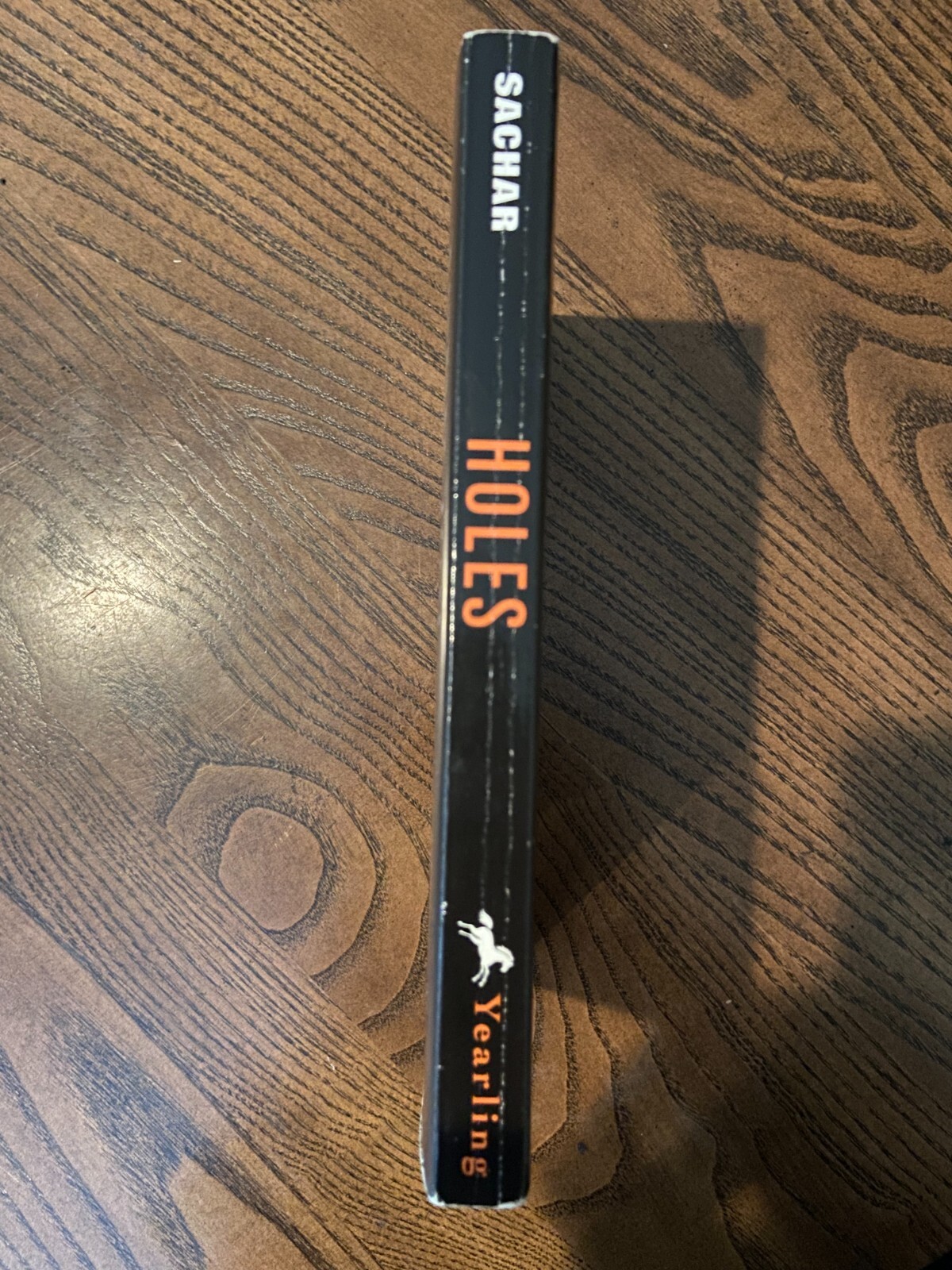 Holes Louis Sachar Paperback good condition yearling randomhouse movie ...
