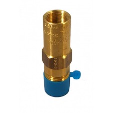 Rego 3131G External Pressure Relief Valve for LPG (PRV) 250 psi Brass ...