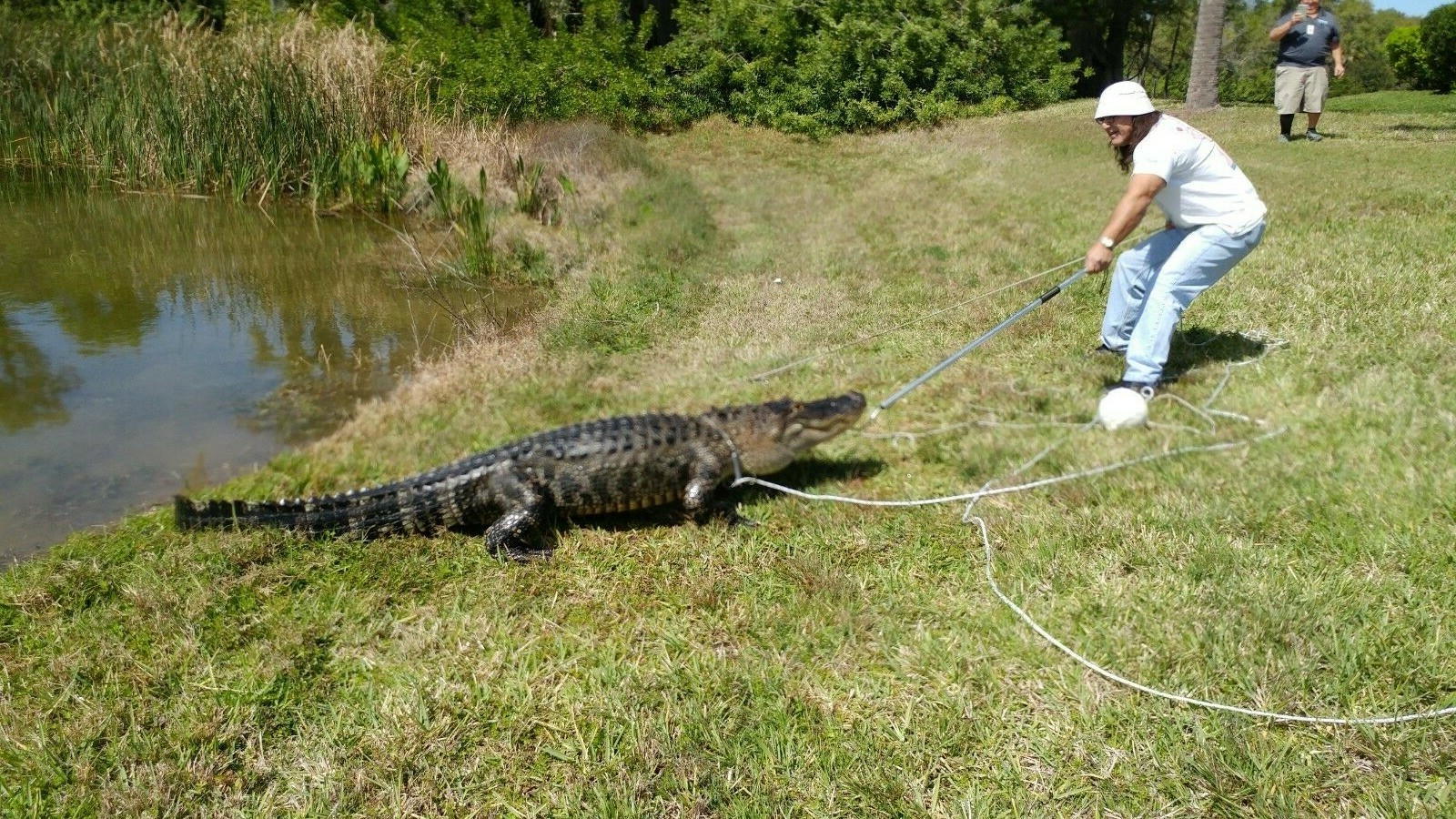 Genuine Wild American Alligator leather Swamp Skin Gator Hide Vest ...