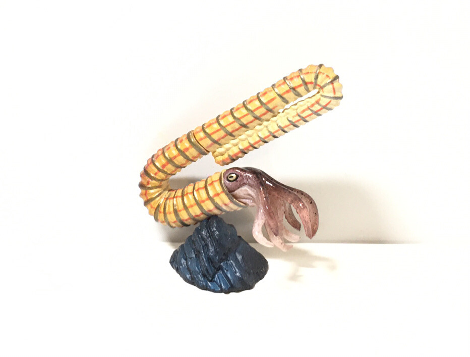 Kaiyodo UHA Dinotales Series 6 Polyptychoceras A Dinosaur Squid Figure | eBay