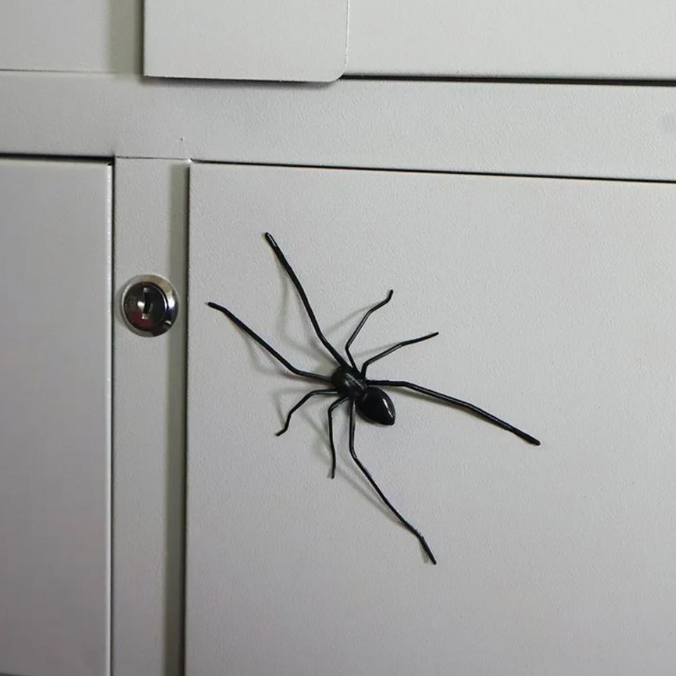 Spider Fridge Magnet 3D Realistic Fridge Magnet Decoration Home ...