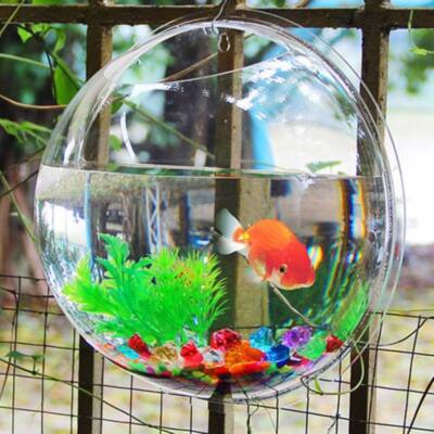 Wall Bubble Fish Tank