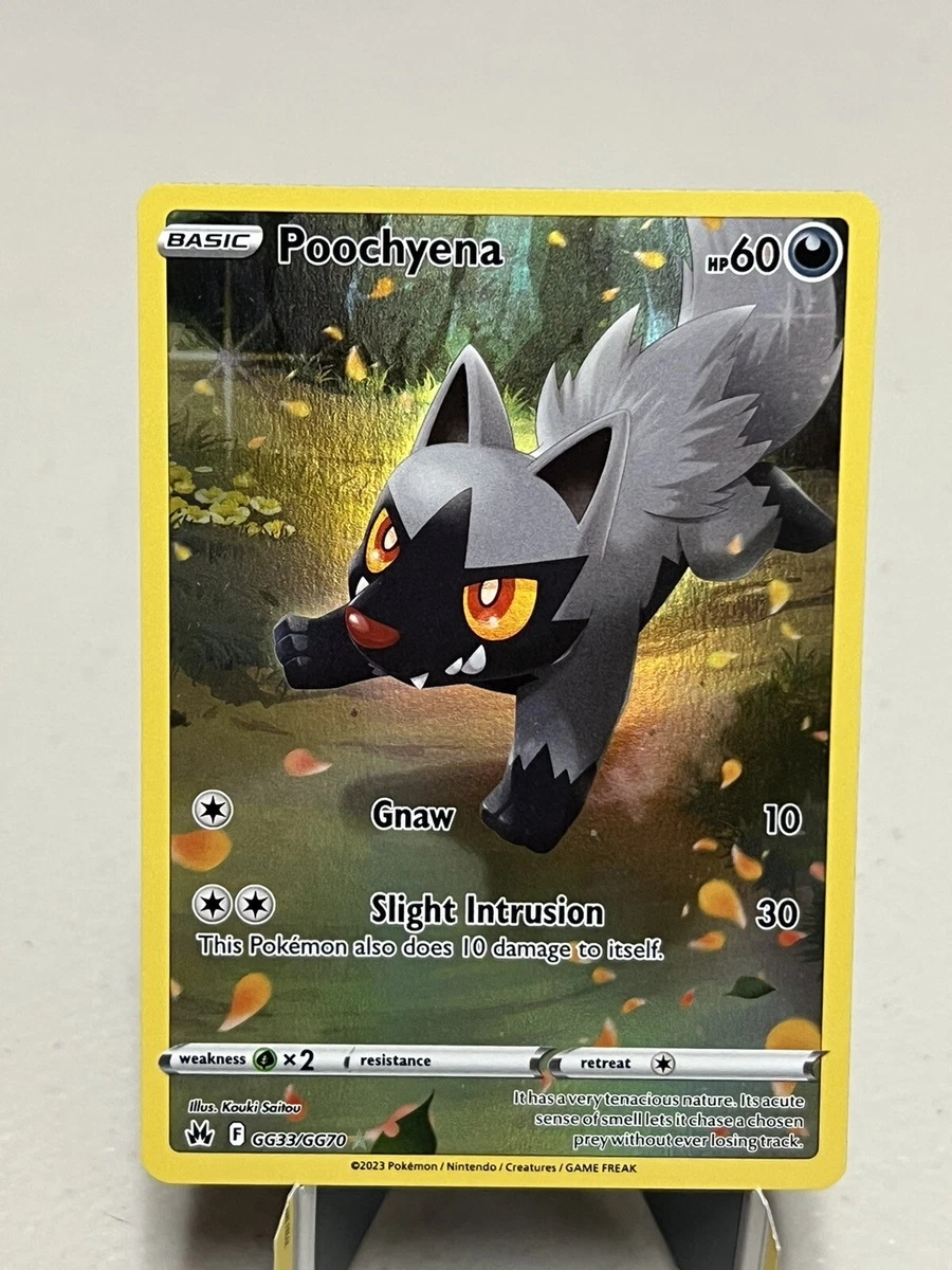 Poochyena Card