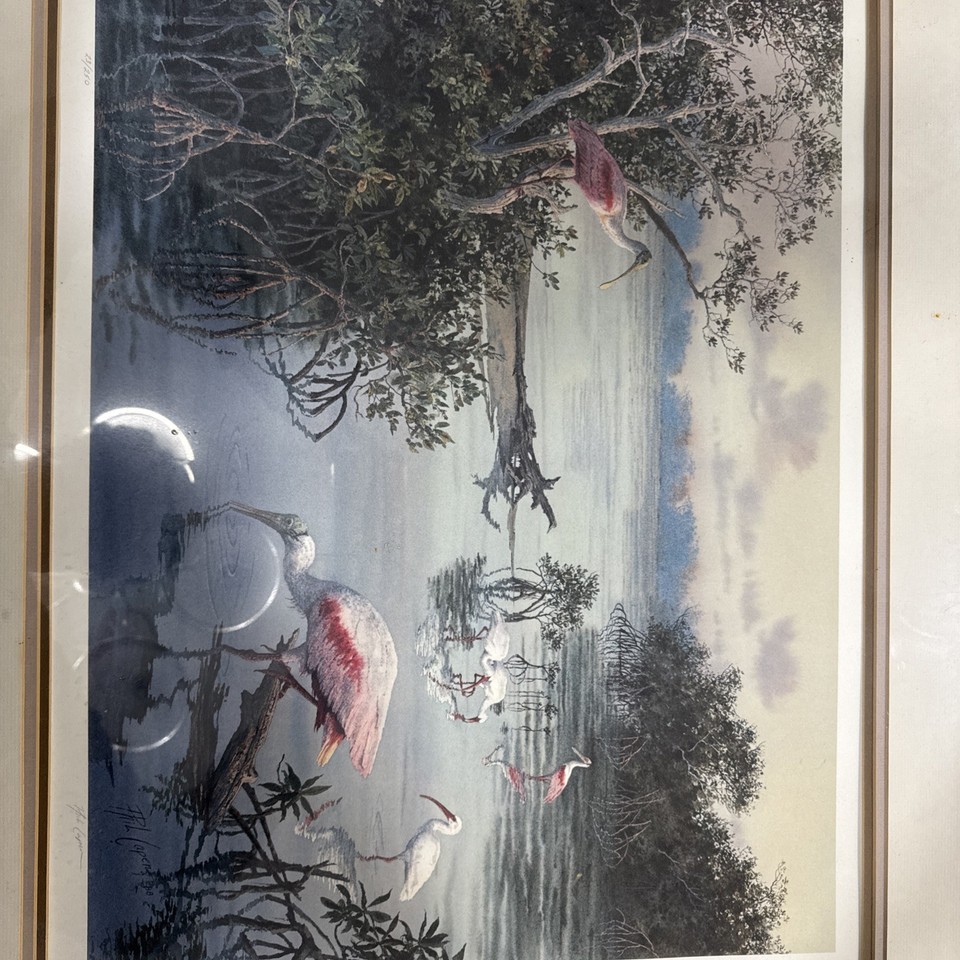 PHIL CAPEN ROSEATE SPOONBILL EVERGLADES NATIONAL PARK , Framed 23/250 ...