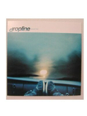 Dropline Poster Flat 2 Sided Drop Line | eBay