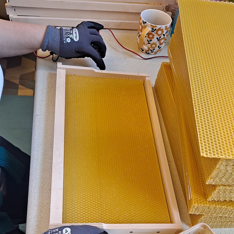 4Tier Langstroth Beehive Box Beekeeping with 20pcs Super & Brood Bee ...