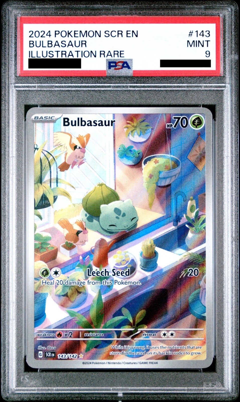 Bulbasaur 143/142 Sv07: Stellar Crown Holo for sale online | eBay