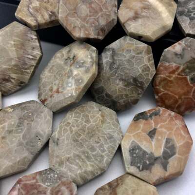 Natural Fossil Coral Rectangle Slice Faceted Octagon Beads 30x40mm 15.5 ...