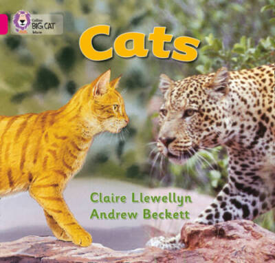 Cats (Collins Big Cat) - Paperback By Llewellyn, Claire - GOOD ...