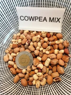 Cowpea Mix - Black-eyed-pea Mix - 20+ seeds - Heirloom! - H 095 | eBay UK