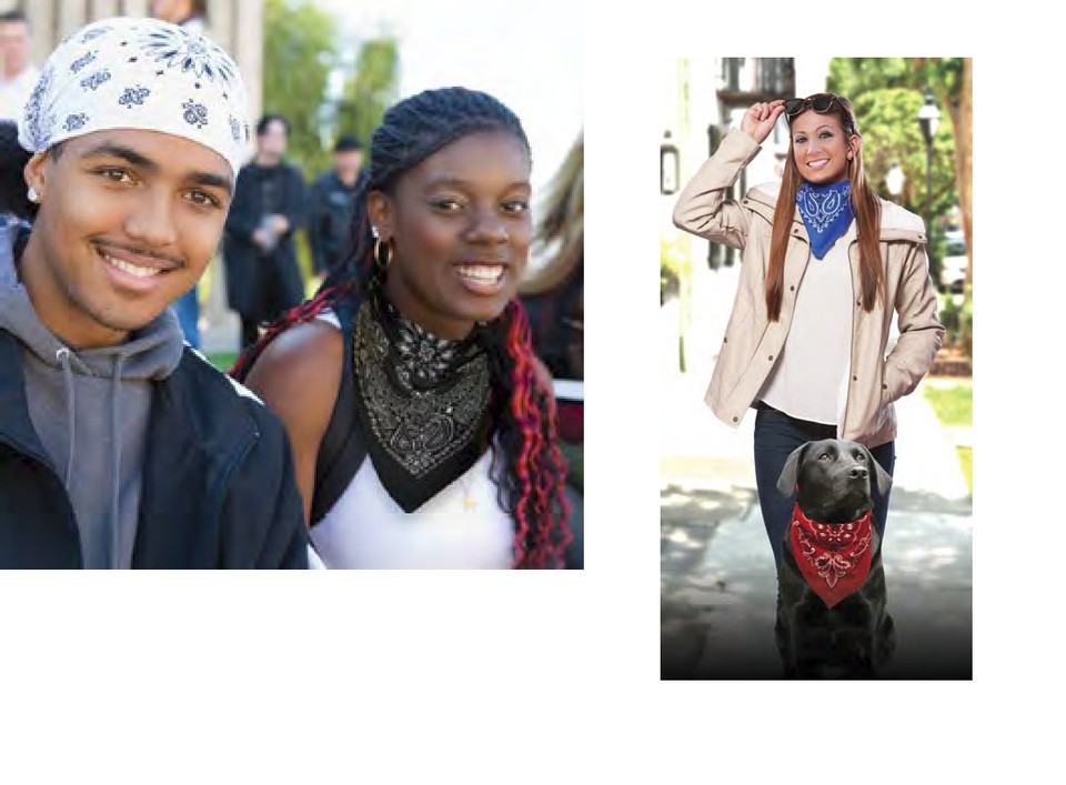 6-MIXED USA MADE HAV-A-HANK Paisley BANDANA Head Wrap Neck Scarf YOU ...