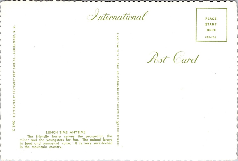 6x4" Postcard Lunch Time Anytime - Friendly Burros Serve Prospector ...