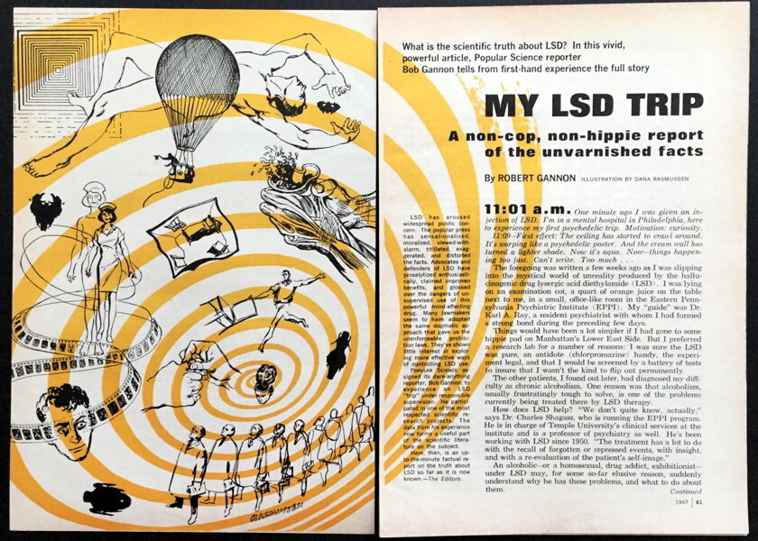 'My LSD Trip A non-cop, non-hippie report' | Grelly USA