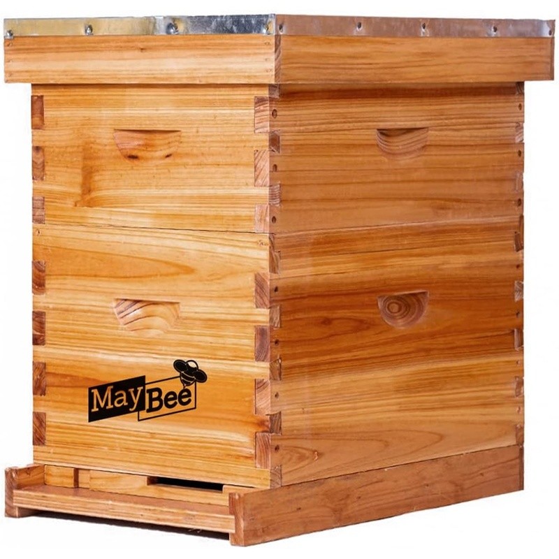 8 Frame Bee Hives and Supplies Starter Kit with Beehive Frames ...