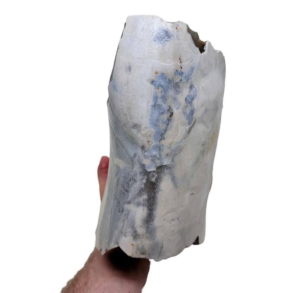 RARE Polish Flint Orbicular Rough Chunk! | eBay