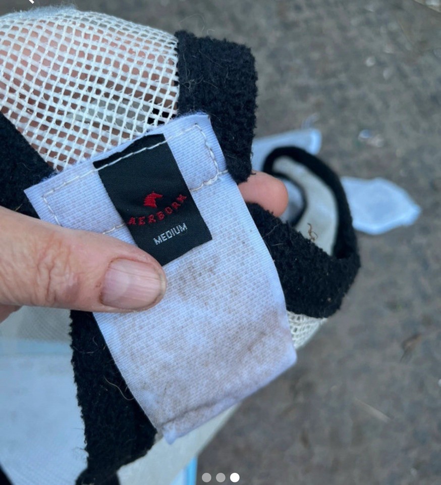 Fly Masks Medium X2 | eBay UK