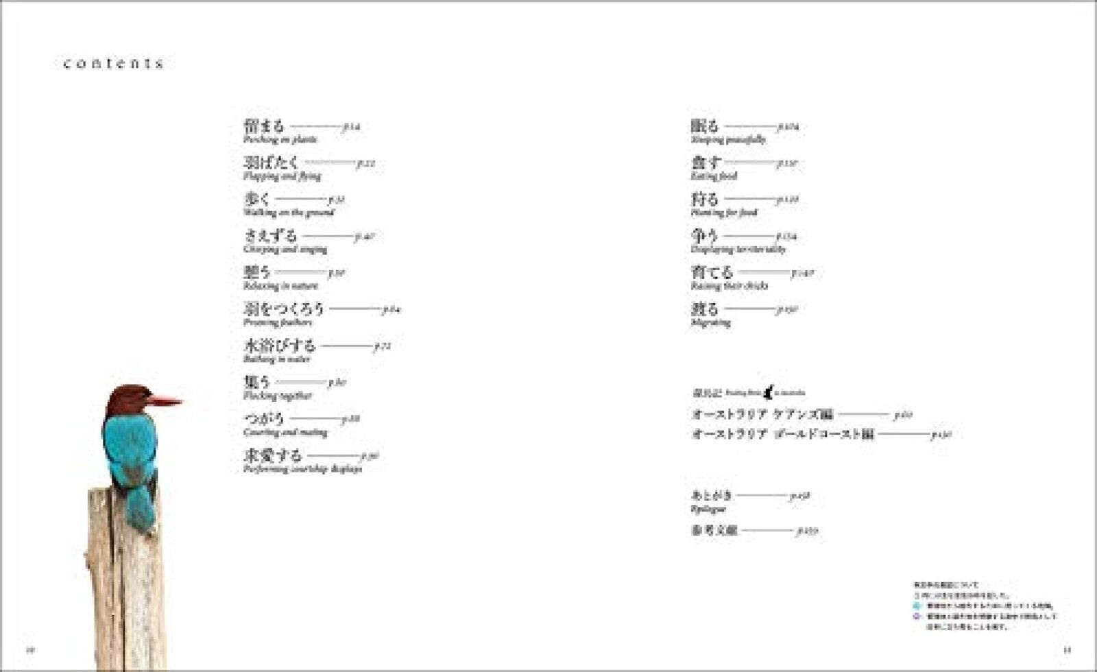 The world's most beautiful bird encyclopedia by Suzuki Rimo Japan | eBay