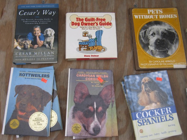 35 pc Used Assorted Dog Book Fiction Non Fiction LOTS Dogs Books | eBay