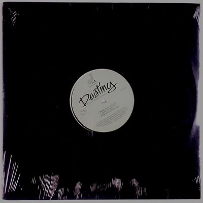 DESTINY: Long Time Comin’ 1995 Urban Street Music 12” Random Rap SEALED ...