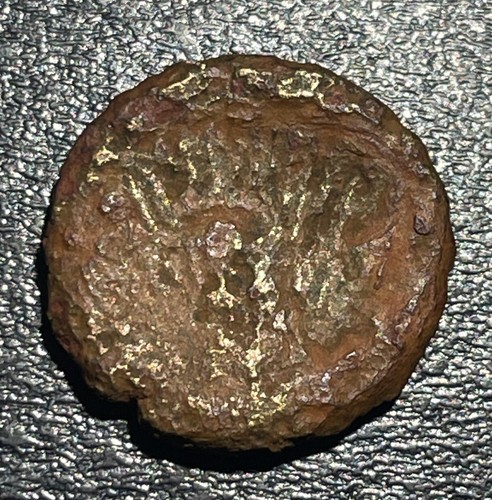 300-250 BC Greek Lucania Metapontion AE 2.34g 15.4mm Ear of Grain ...