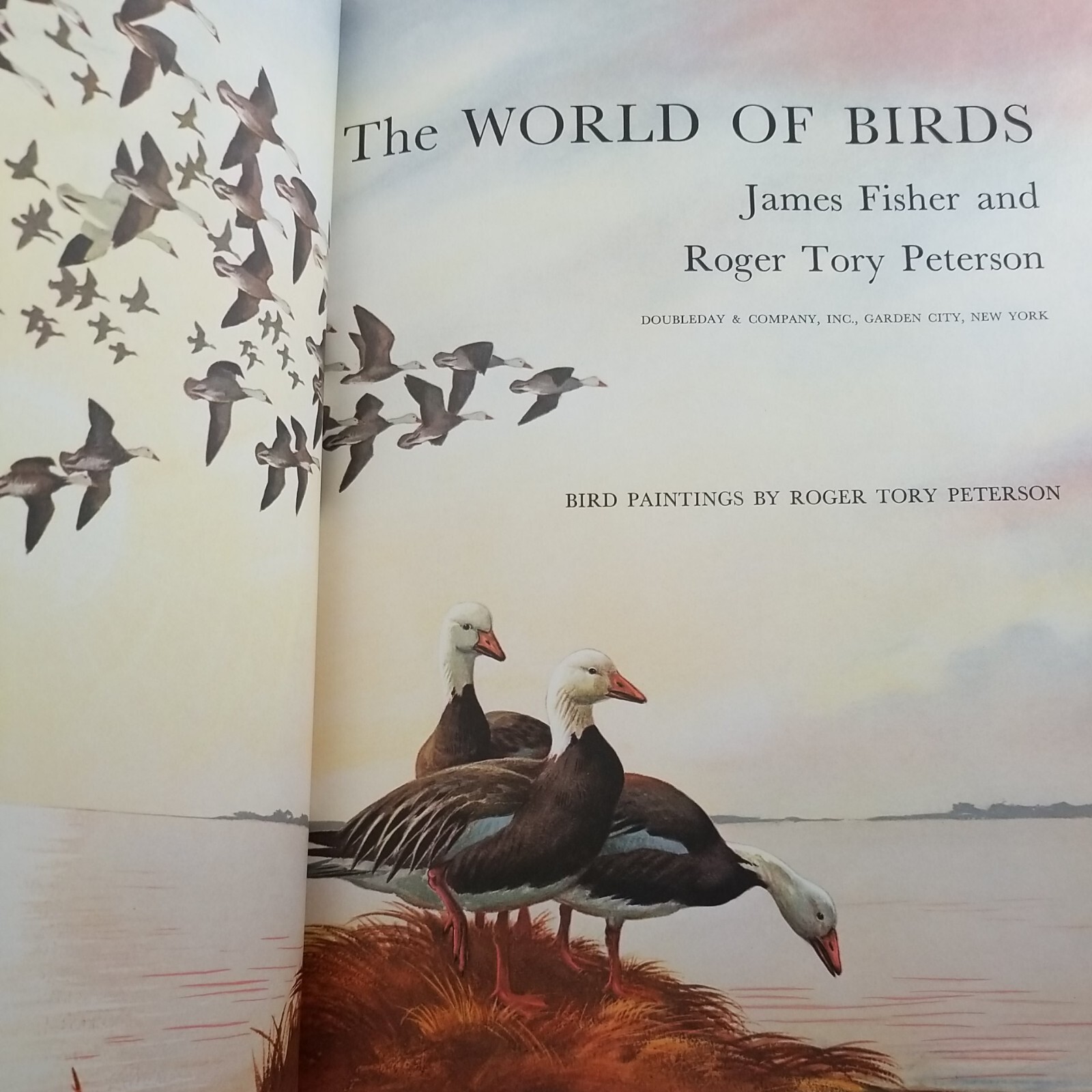 The World of Birds James Fisher Roger Tory Peterson Doubleday | eBay