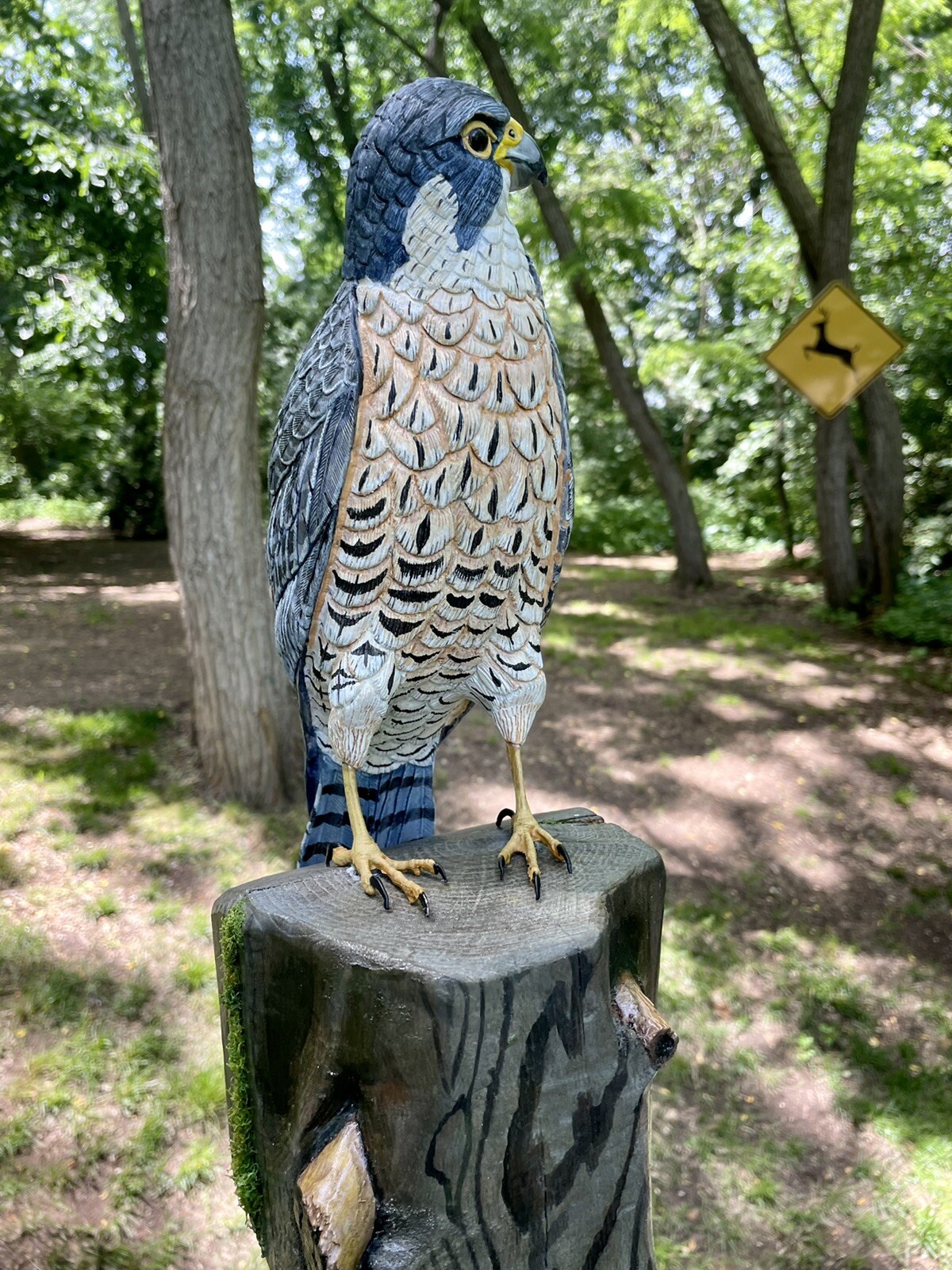 Peregrine Falcon Wood Carving - Hand Carved | eBay