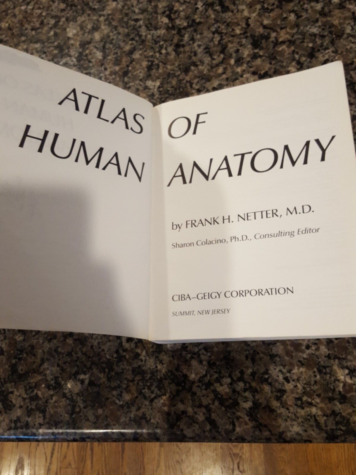 Atlas of Human Anatomy by Dr Frank Netter, MD 1994 softcover ...