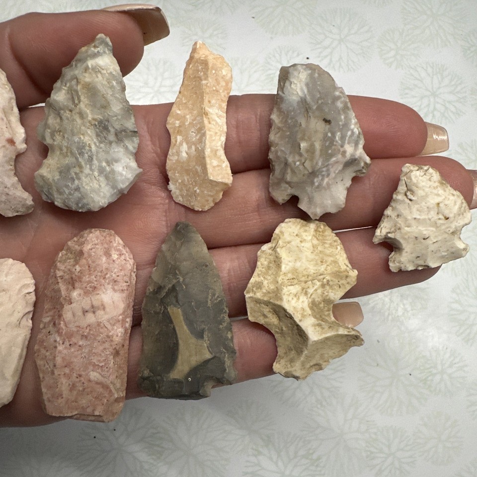 MLC 189 (10) Archaic To Adena Arrowheads Pettis County Missouri Artifacts | eBay