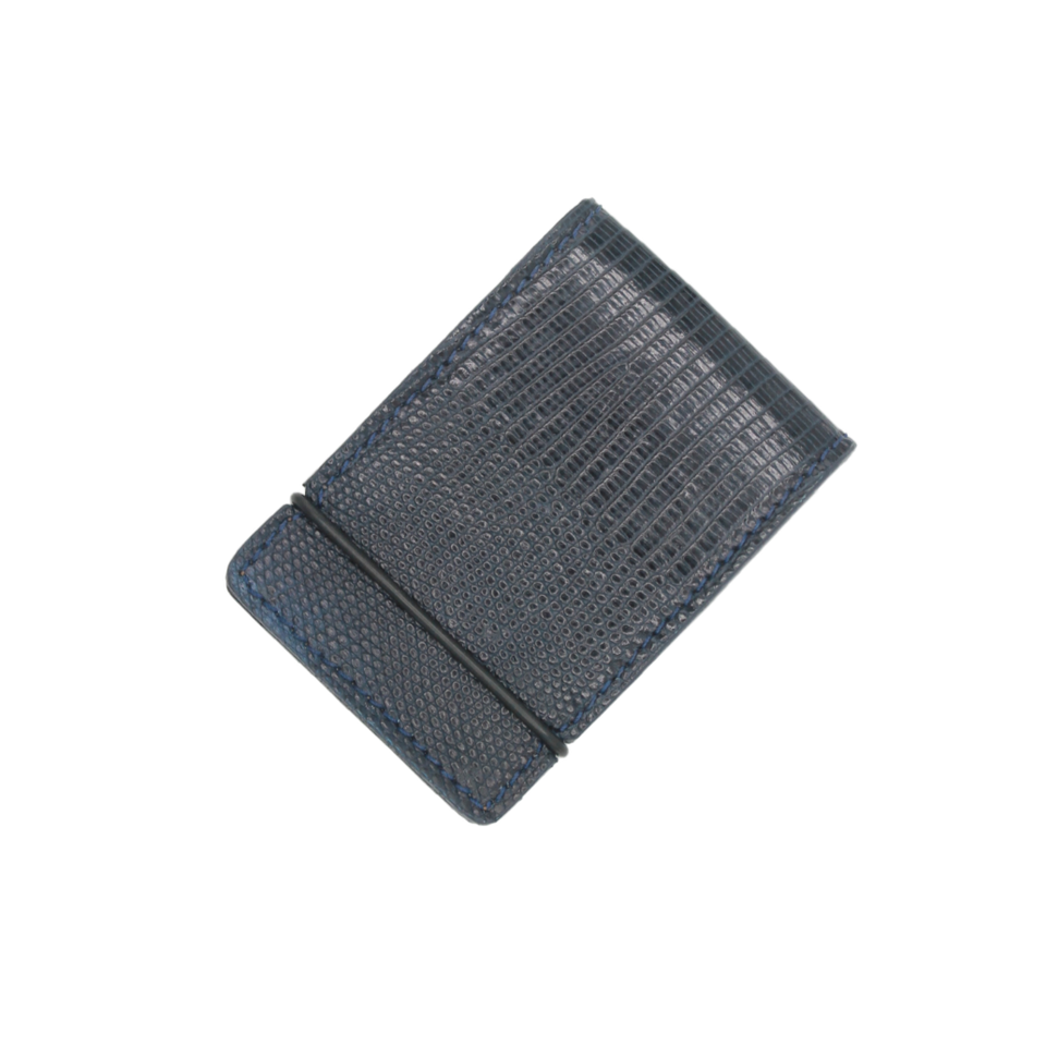 NAVY LIZARD CASH COVER | eBay
