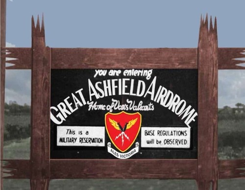 385 BG 549 BS USAF USAAC embroidered WW2 Squadron Patch- Great repro | eBay