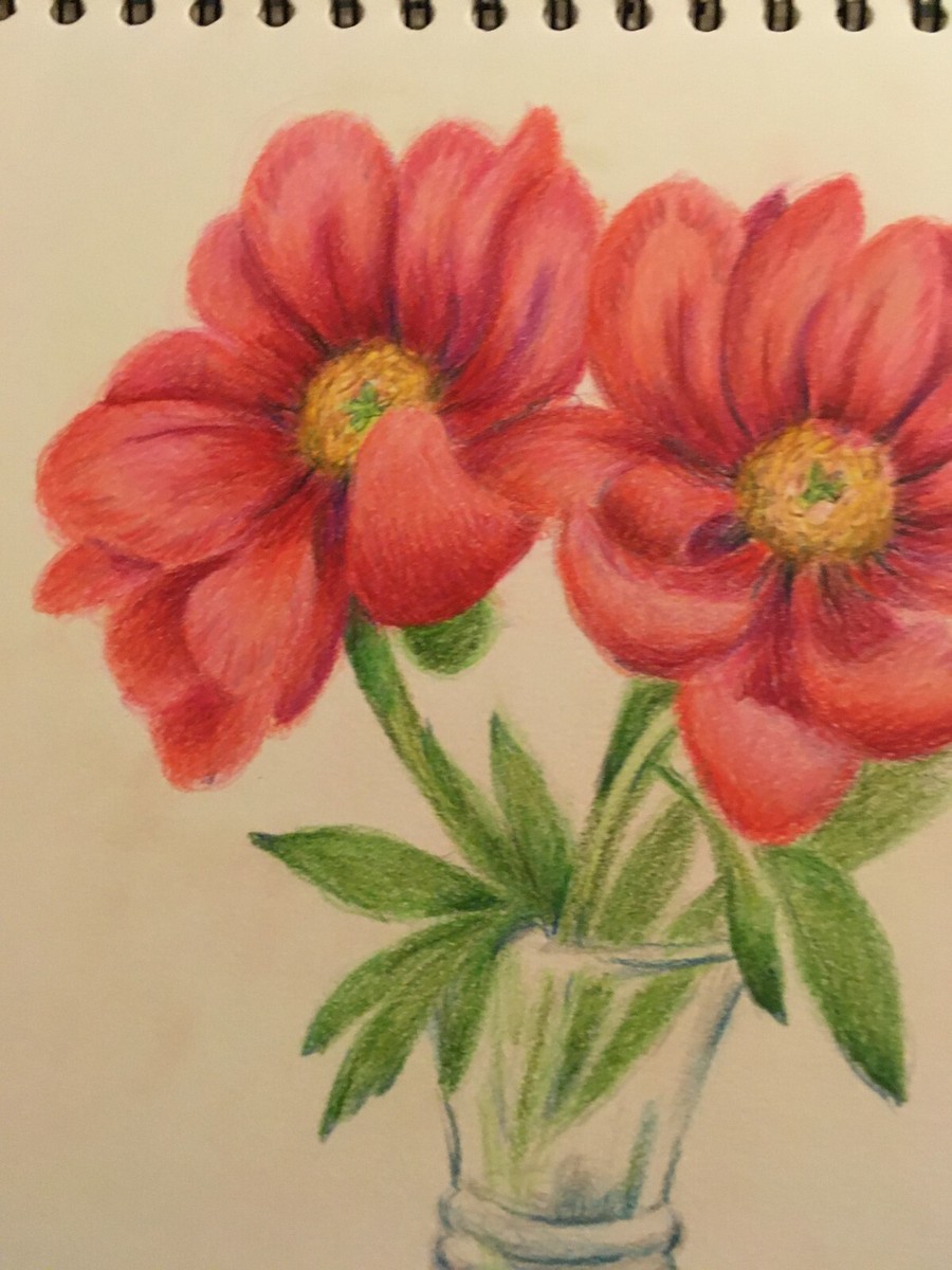 Easy Colored Pencil Drawings Of Flowers