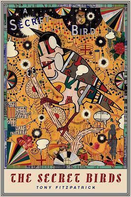 The Secret Birds by Fitzpatrick, Tony 9781940430768| eBay