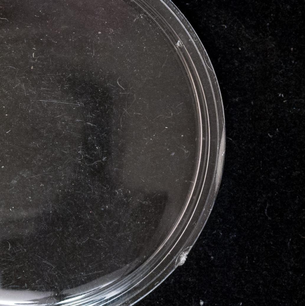 29 Round Clear Capsules For Coins Fly Fishing Specimens Collecting 44.5 ...