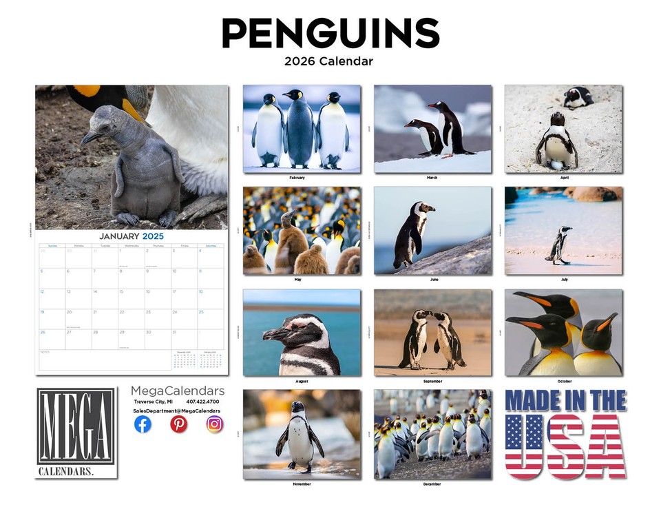 Penguins Calendar 2026 12x18 Made in USA | eBay