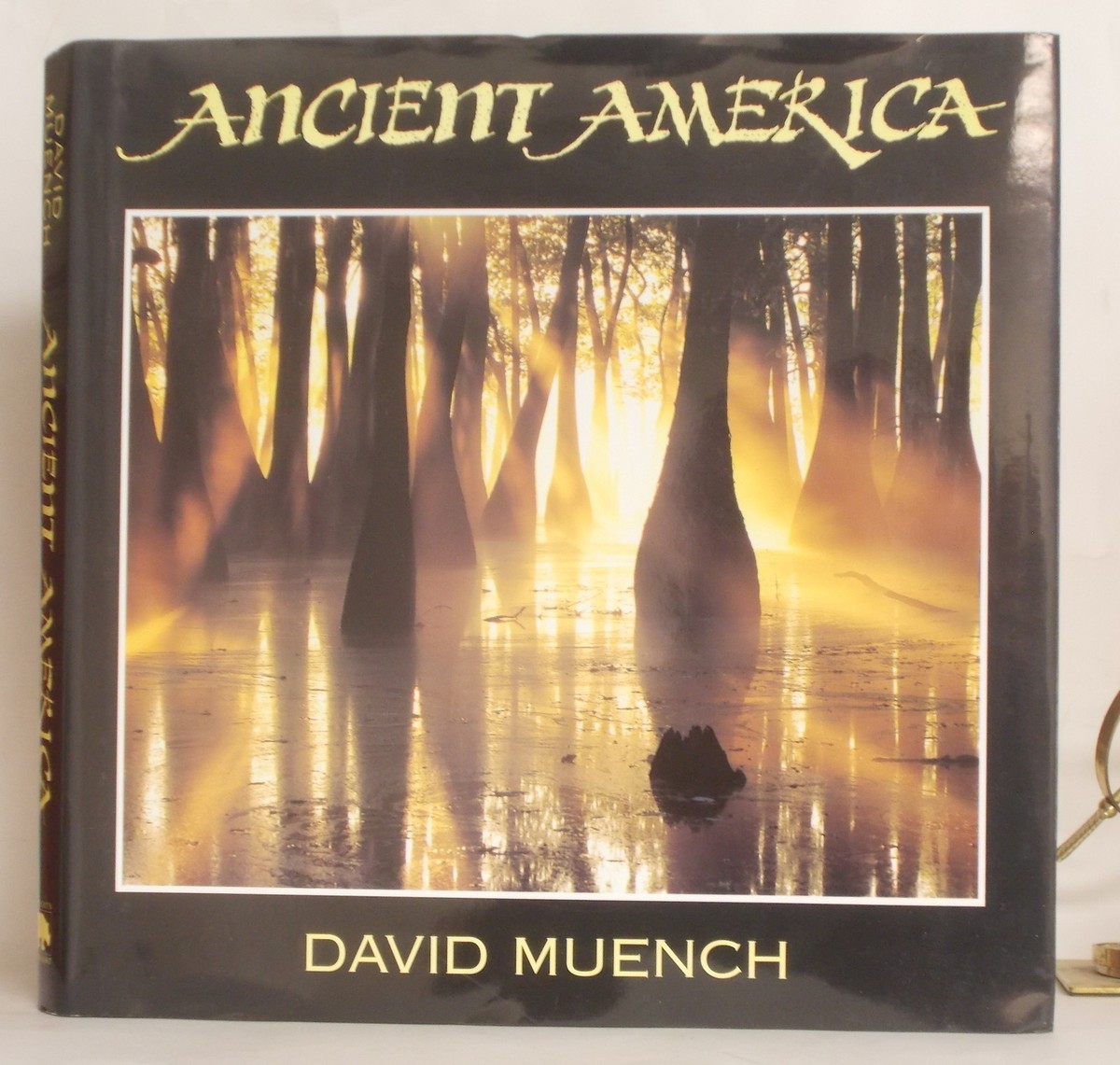 David Muench Quotes